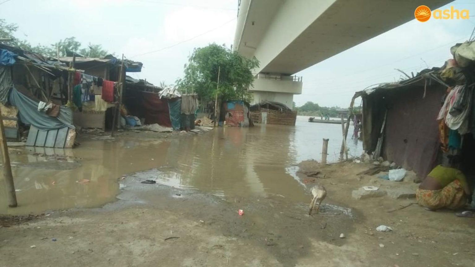 Asha reaches the flood affected river bed slum communities in New ...